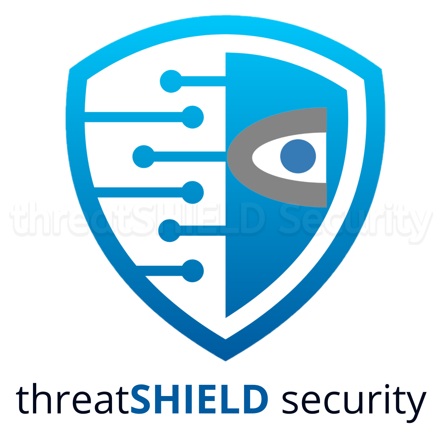 Emergency Cyber Incident Response - threatSHIELD Security